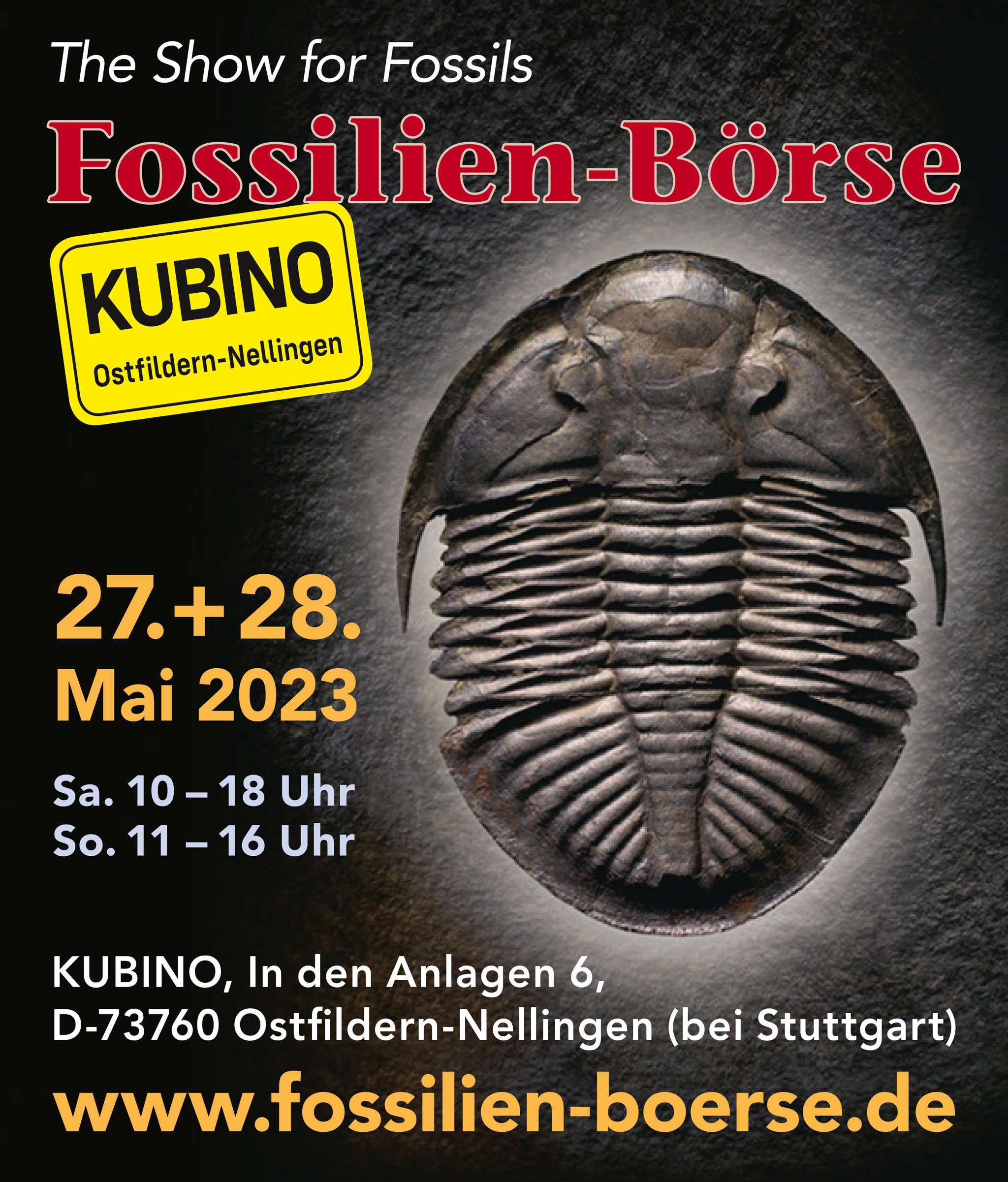 Die Fossilien-Börse 2023 im Kubino - The show for Fossils